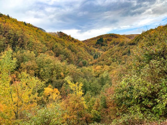 Préserver et gérer ma forêt - Communauté d'Agglomération Privas Centre ...